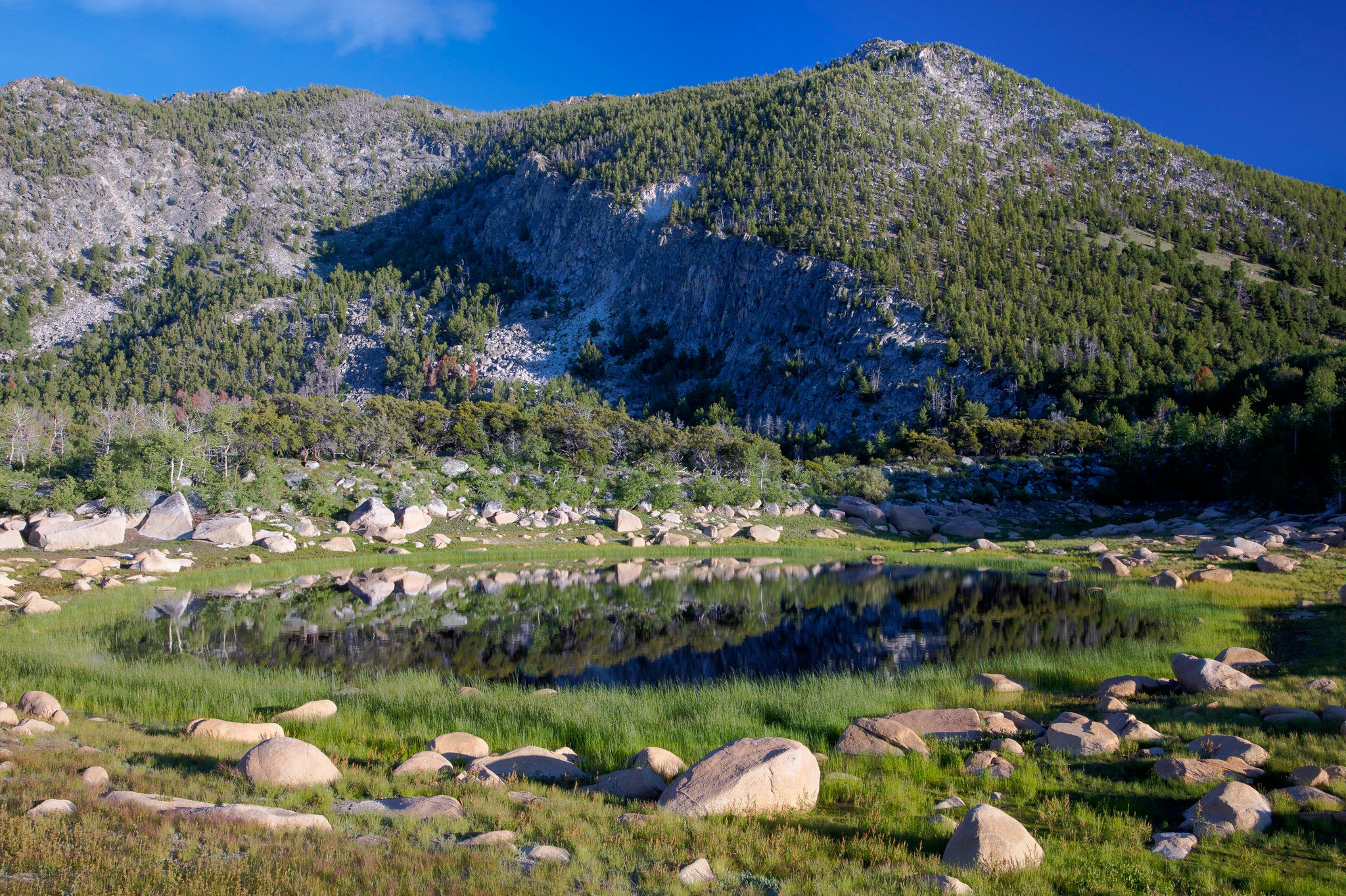 Wilderness Watch Pine Forest Range Wilderness Public Lands