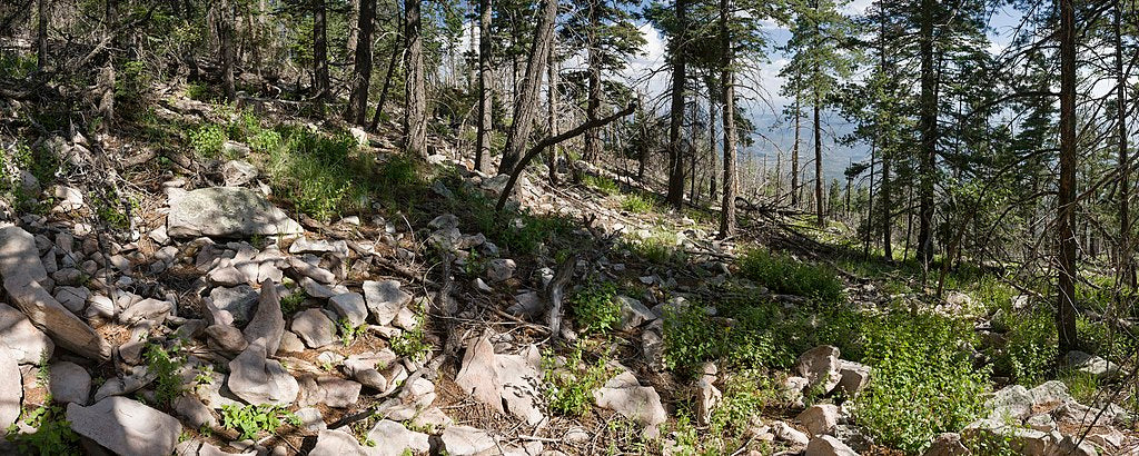 Wilderness Watch: Capitan Mountains Wilderness – Public Lands ...