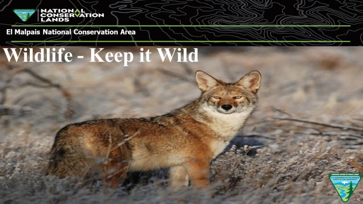 Wildlife - Keep it Wild – Public Lands Interpretive Association
