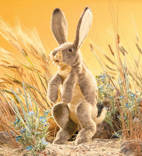 Puppet: Jackrabbit – Public Lands Interpretive Association
